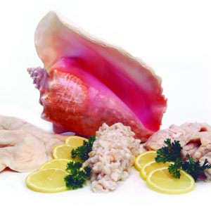 Conch Salad (Ceviche) 8oz - Keys Fisheries