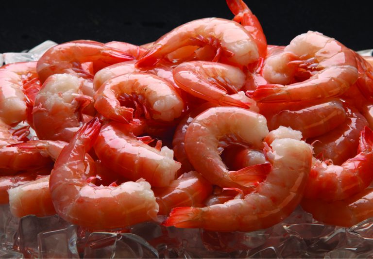 Large Key West Pink Shrimp 16/20 per pound (raw) 1lb-5lb - Keys Fisheries